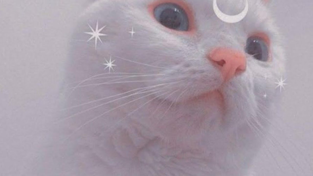 Random stuff idk - YouTube