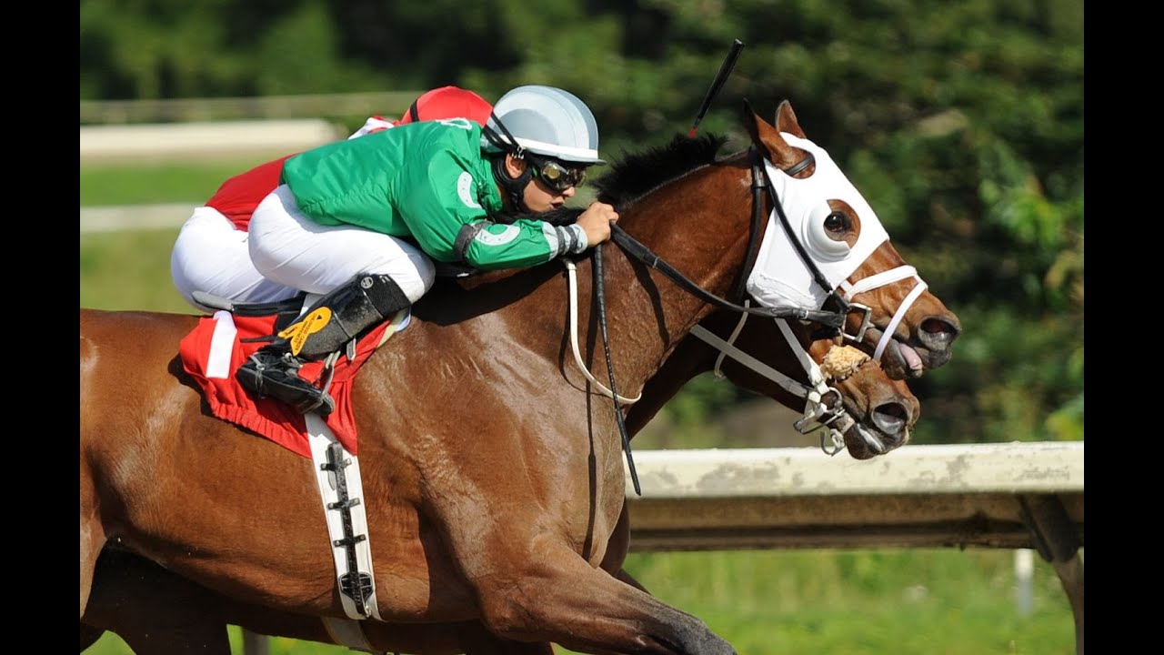 ERIC CANCEL - Primera victoria del 2015 - YouTube