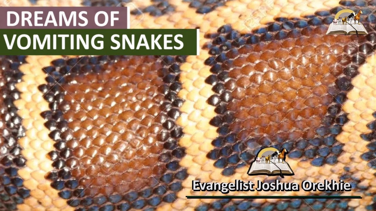 Dreams About Vomiting Snakes - Spiritual and Biblical Meaning - YouTube