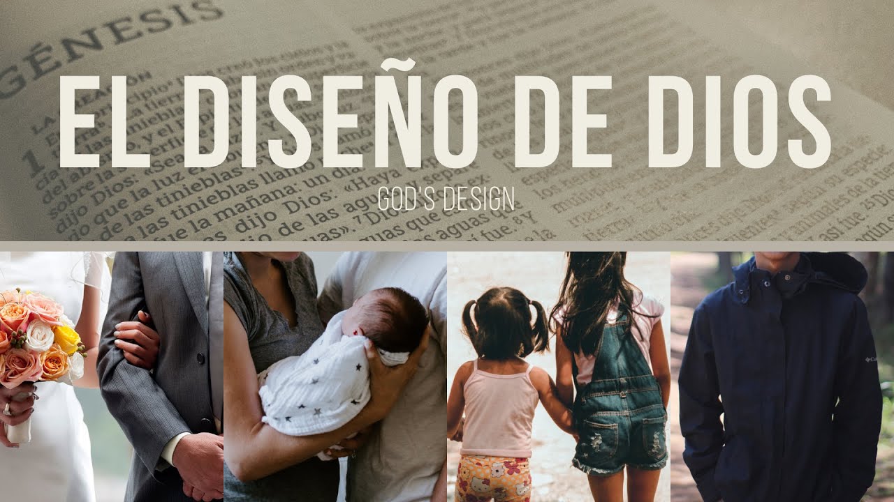 El Diseño de Dios / Genesis 1:26-28 - YouTube