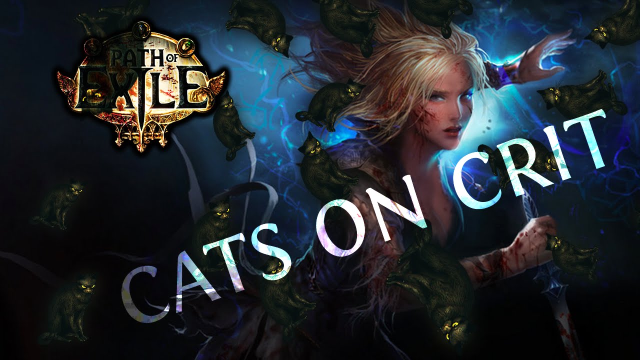 Path Of Exile - Cats on Crit build - YouTube