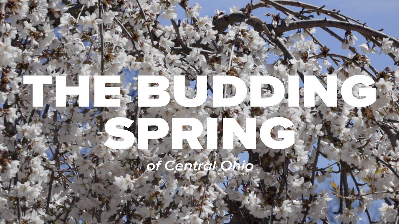 The Budding Spring of Central Ohio - YouTube