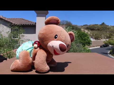 vTech Explore and Crawl Learning Cub Destruction