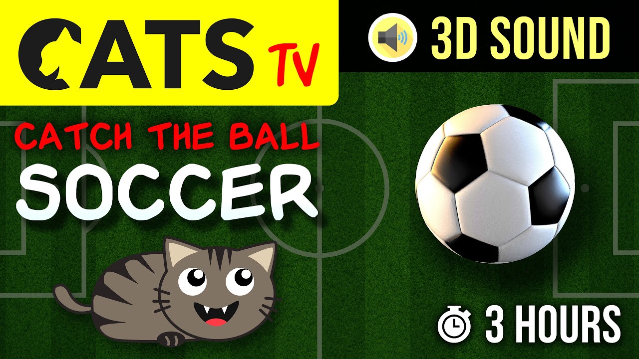 GAME FOR CATS - Catch the Soccer BALL ⚽ 3 HOURS - 60FPS [CATS TV] - YouTube