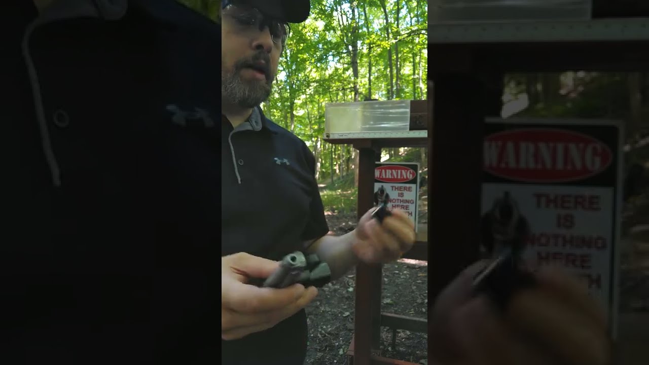 Ratshot .22 LR (no. 12 birdshot) VS Ballistics Gel from a Pocket Pistol ...