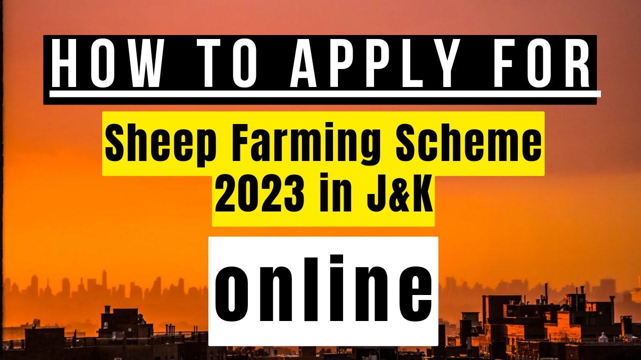 How to Apply for Sheep Farming Scheme Online | Sheep Farming Scheme in ...