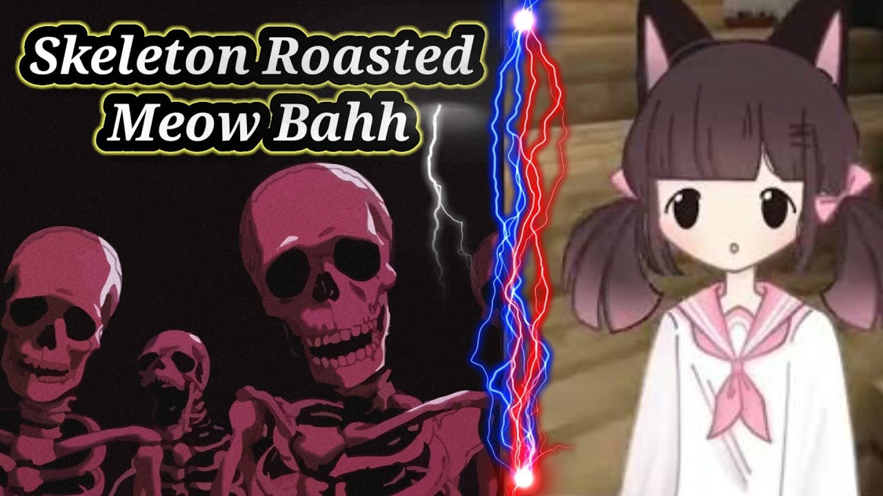 Skeleton Roasting Meow Bahh Apology | Skeleton Meme #skeletonroast ...