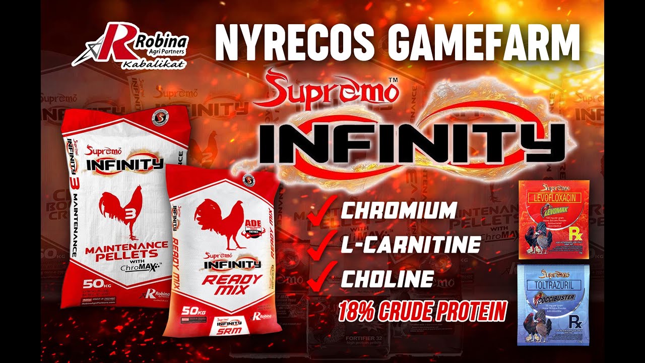SUPREMO INFINITY FEEDS👌🐔 Alagang Supremo Feeds - YouTube