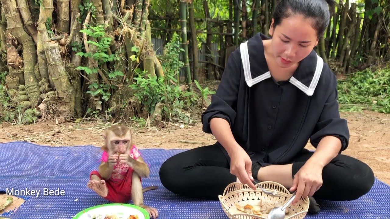 Tiny BEDE Eating Breakfast In The Morning / Enjoy Your Breakfast BEDE ...