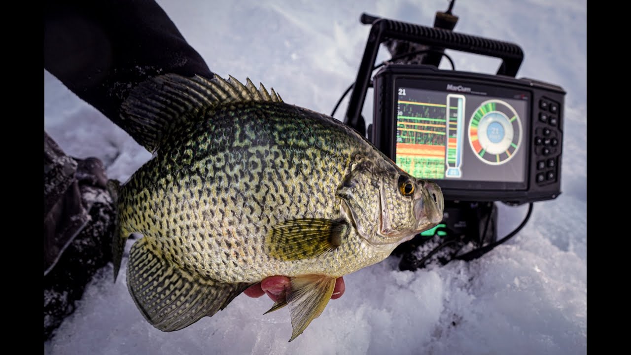 Nomadic Northern Minnesota CRAPPIES - feat. (MarCum MX-7 GPS) - YouTube