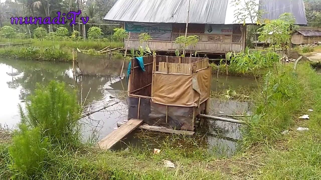 Jamban Empang - YouTube