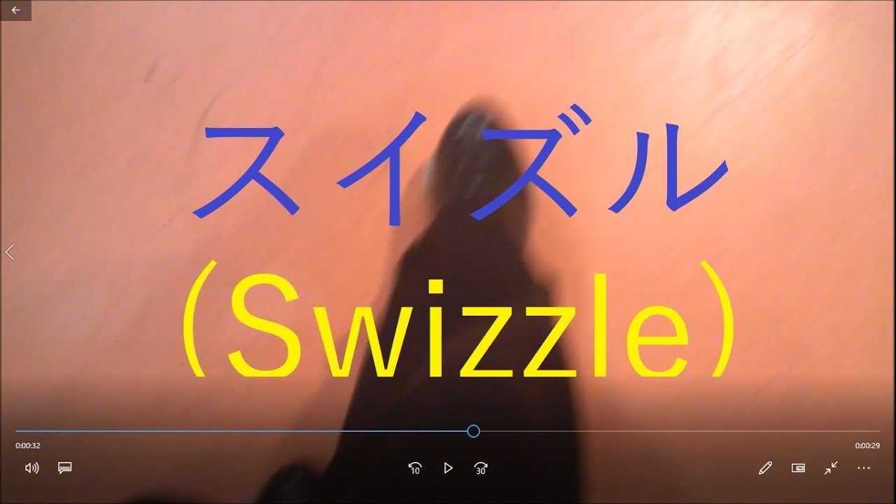 スイズル(Swizzle)！ローラースケート(roller skates) - YouTube