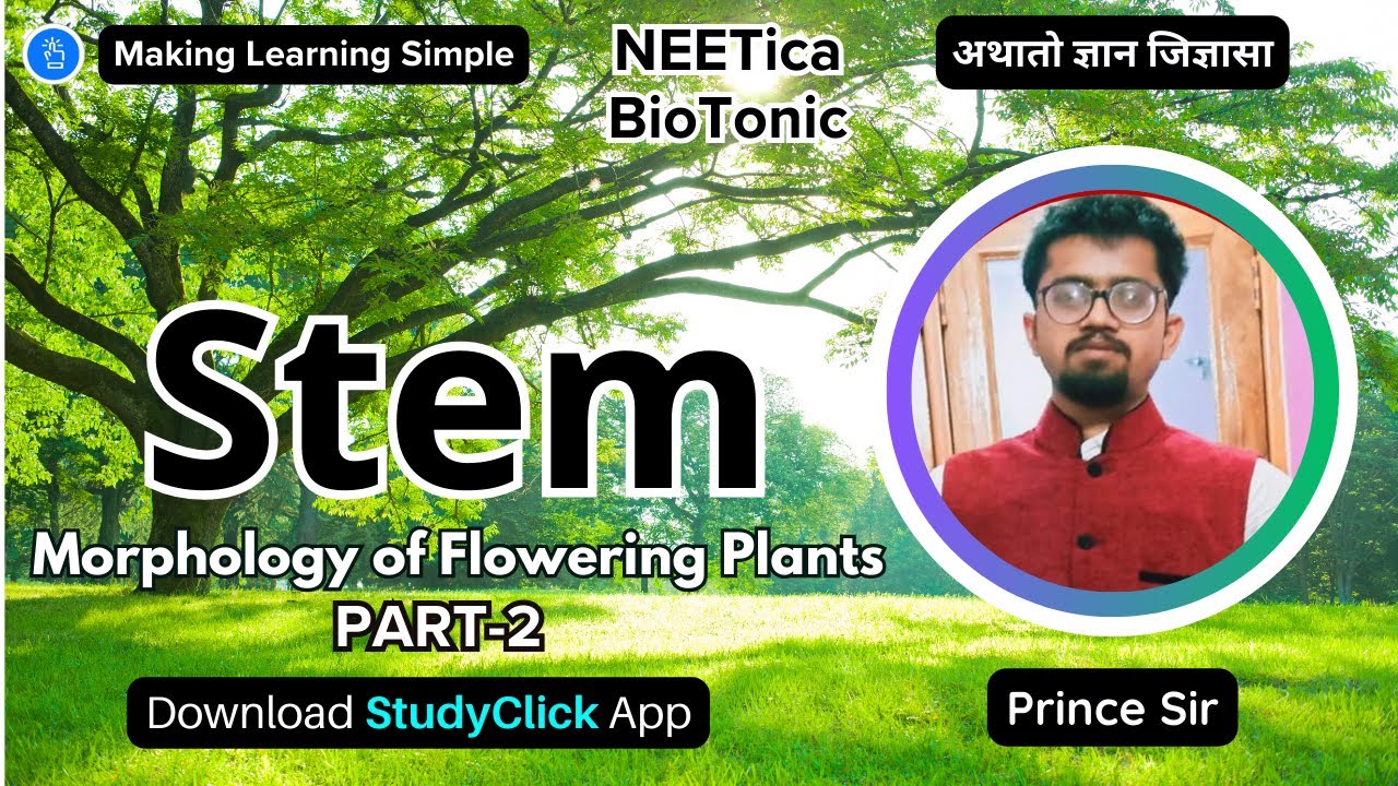 Stem | Morphology of Flowering Plants | Part-2 - YouTube