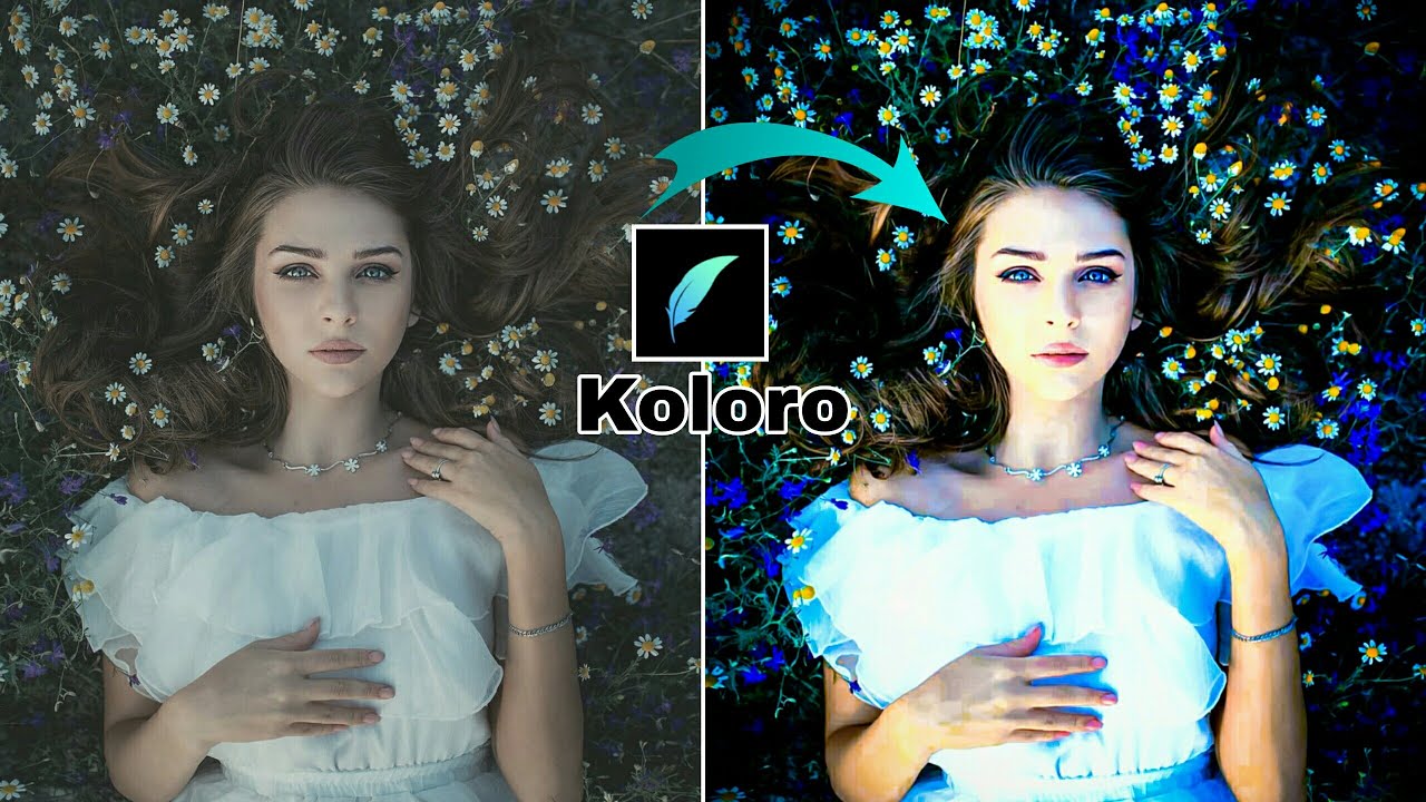 Koloro Photo Editor | koloro editing | koloro new app | new photo ...