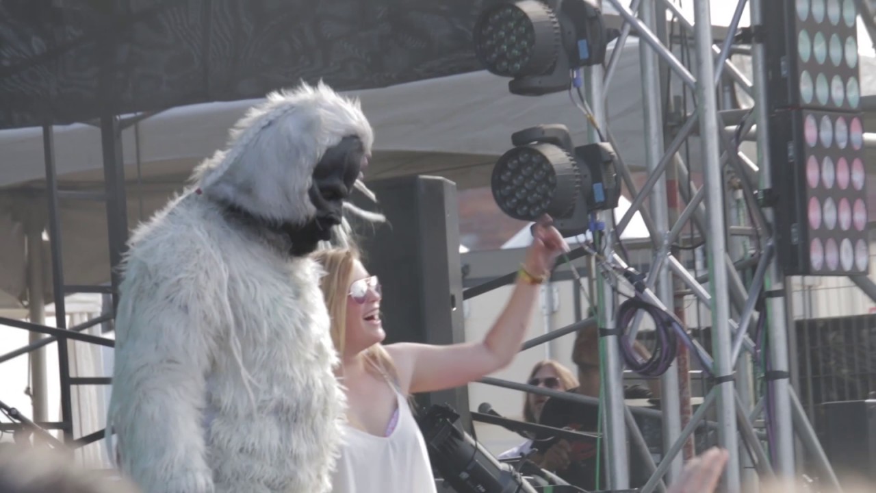 PPL MVR fan stage dives - YouTube