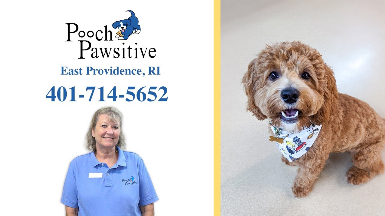 Pooch Pawsitive - YouTube