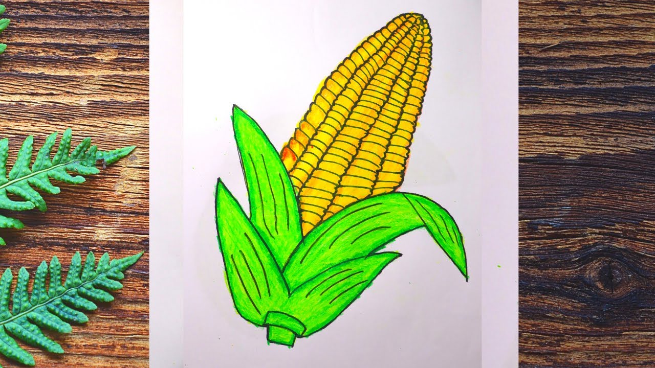 Corn 🌽 🌽 drawing very easy || How to Draw a Corn step by step 🌽🌽 - YouTube