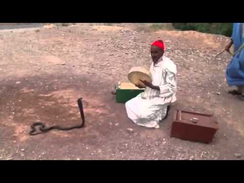 Le Maroc