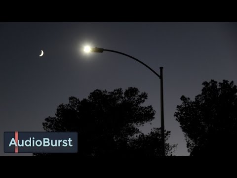 Here's Why Some People In Big Cities May Not Sleep So WellÂ