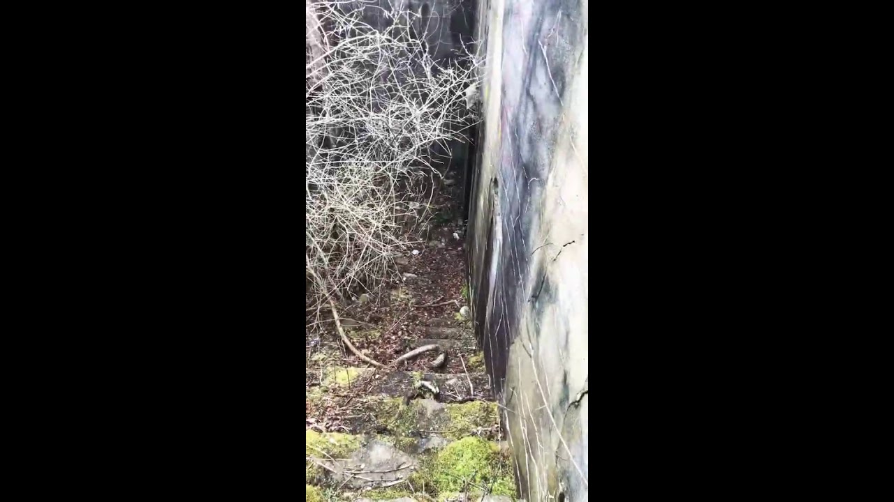 Terrifying skin walker encounter *CAUGHT ON CAMERA* - YouTube
