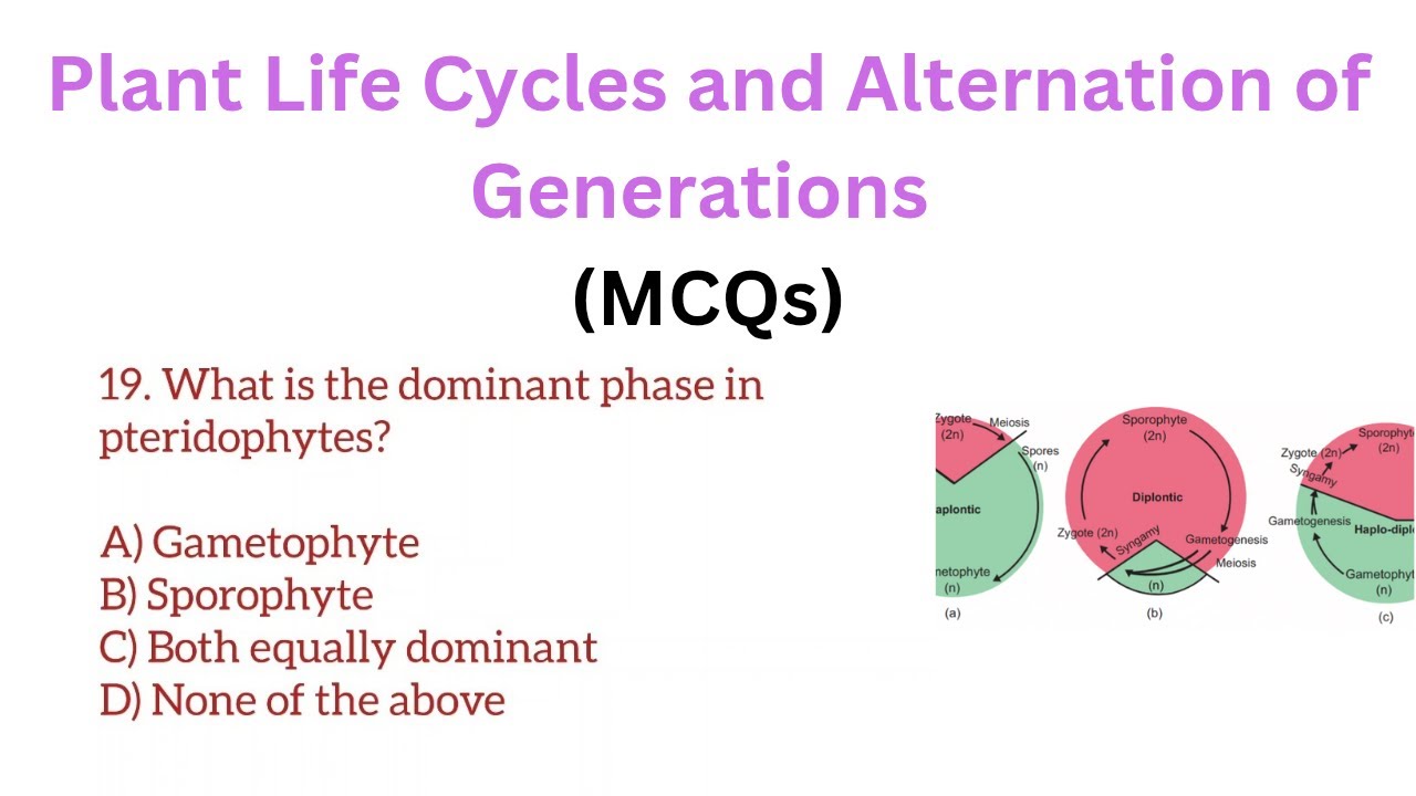 Plant Life Cycles & Alternation of Generations | MCQs | Biology Quiz ...
