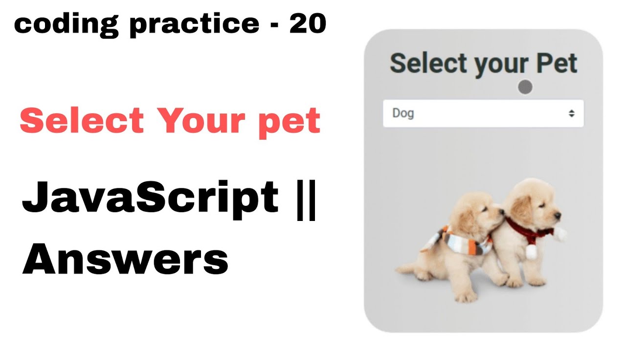 Select Your Pet||Coding Practice - 20||Javascript||ccbp||Answers. - YouTube