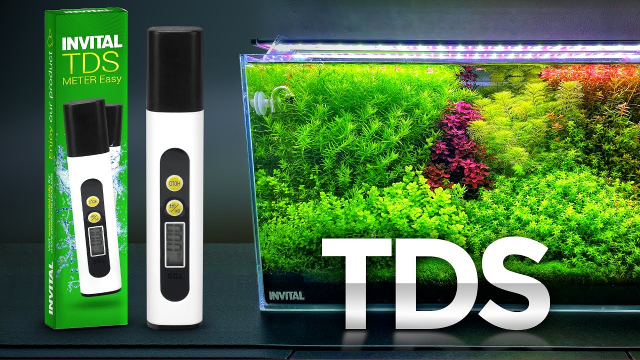 Measure your aquarium TDS - INVITAL TDS Meter | INVITAL - YouTube