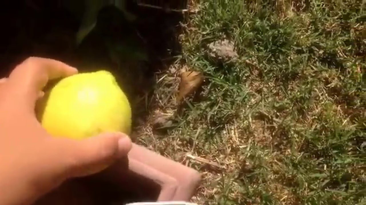 Limonsito el limon del parkour - YouTube