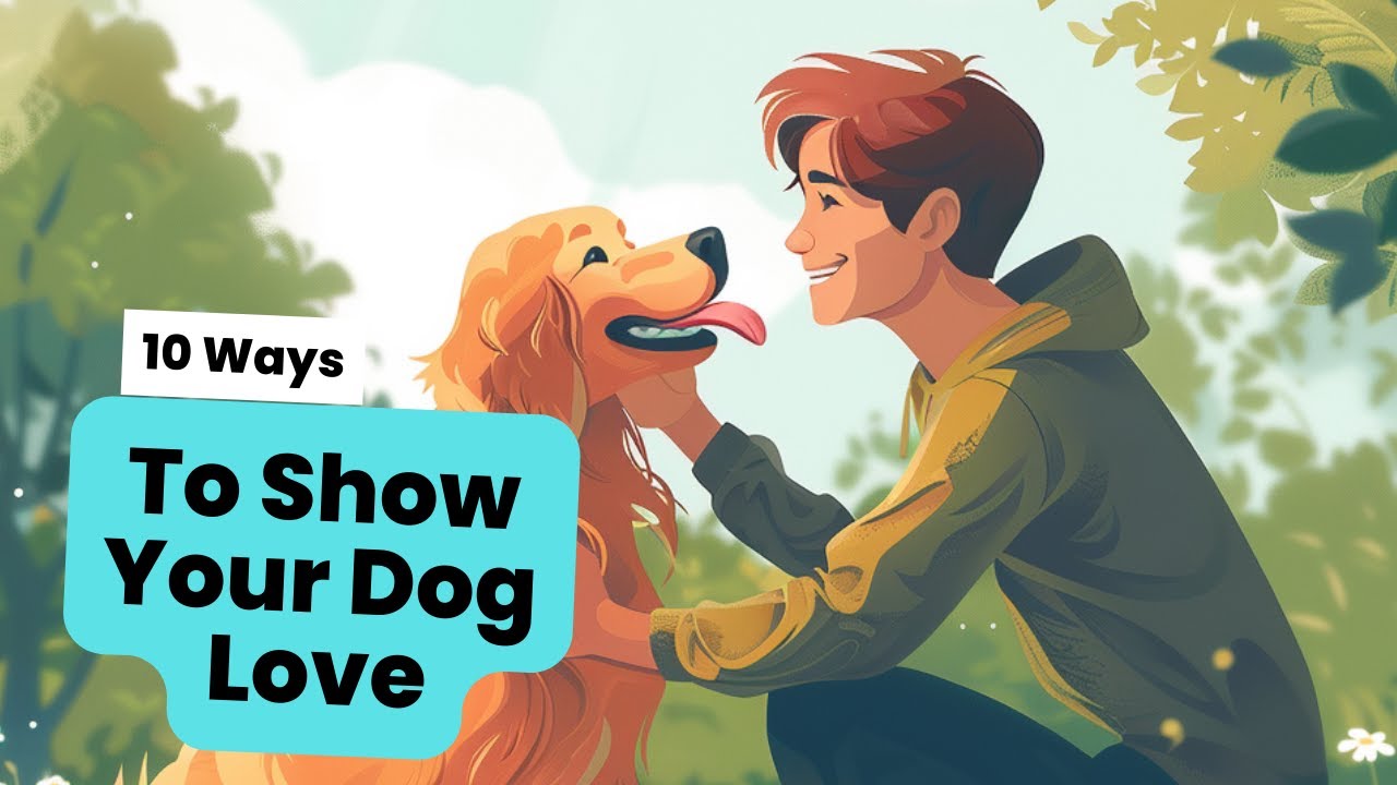 Top 10 Heartwarming Ways to Make Your Dog Feel Loved – Try These Now ...