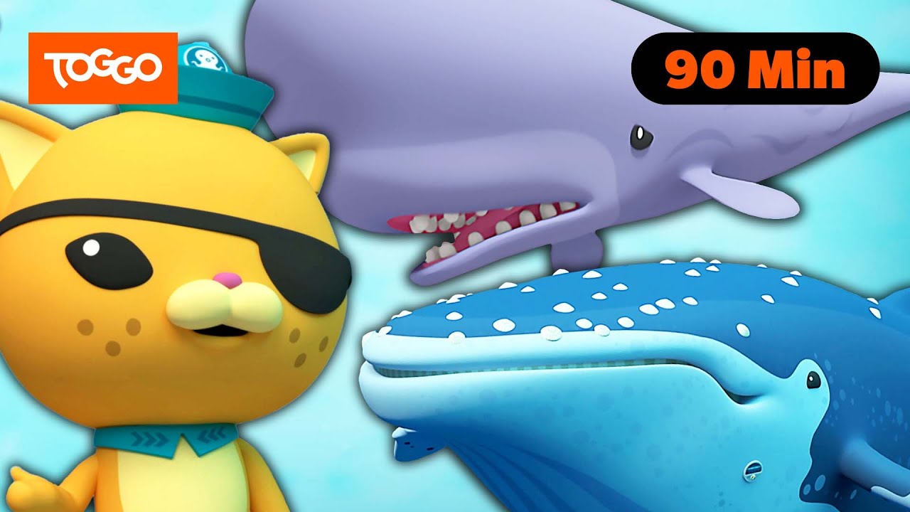 Die Oktonauten | Alle Wal-Folgen | Ganze Folge Deutsch | TOGGO Serien ...