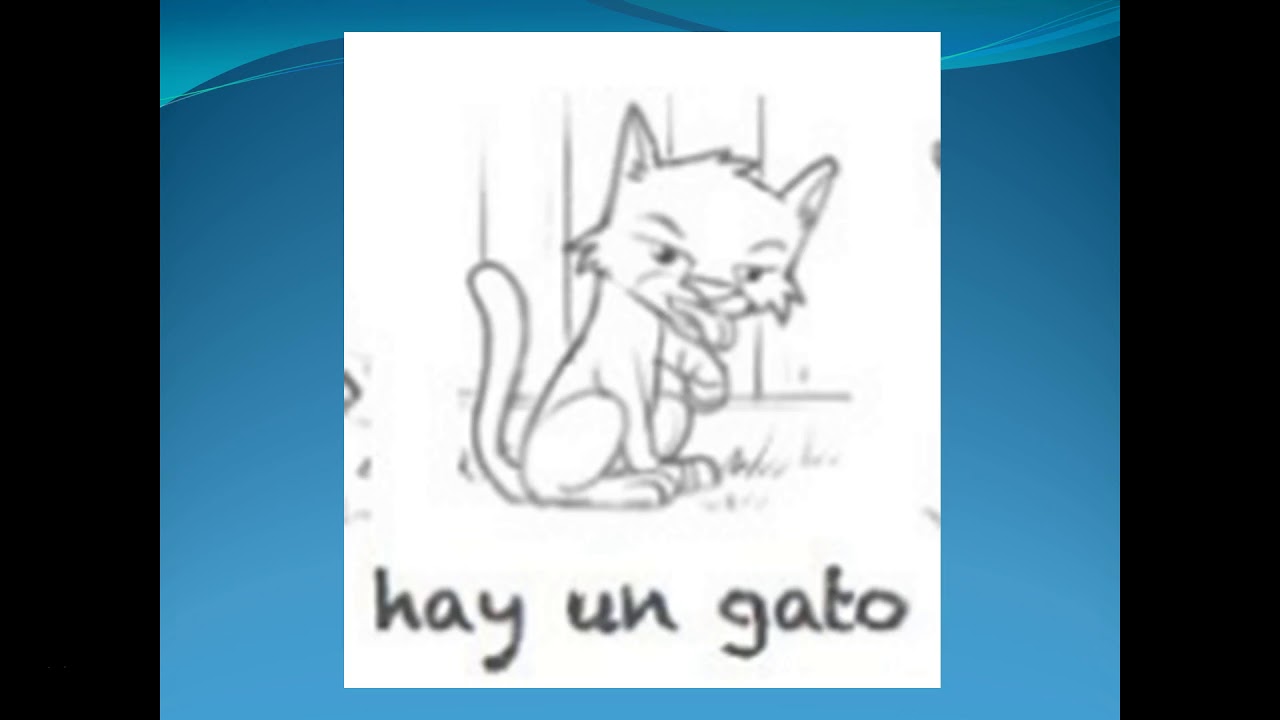 Animal Songs in Spanish - YouTube