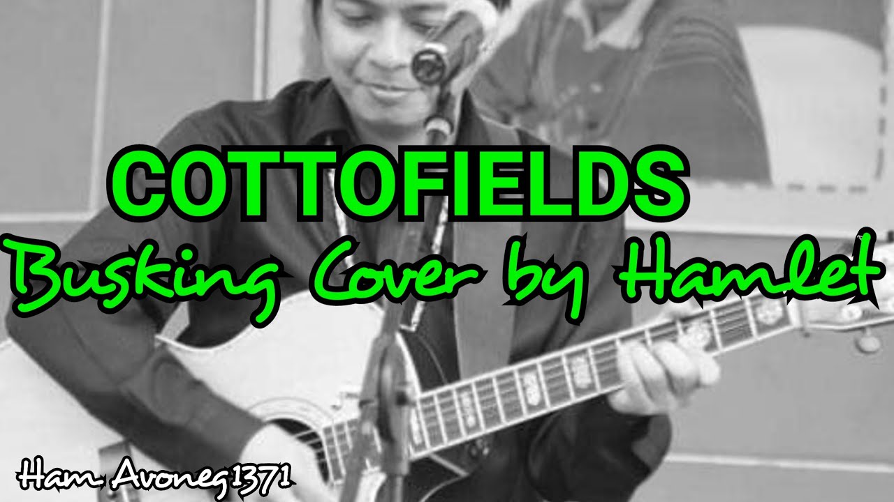 Cottonfields Cover by Hamlet (Busking) - YouTube