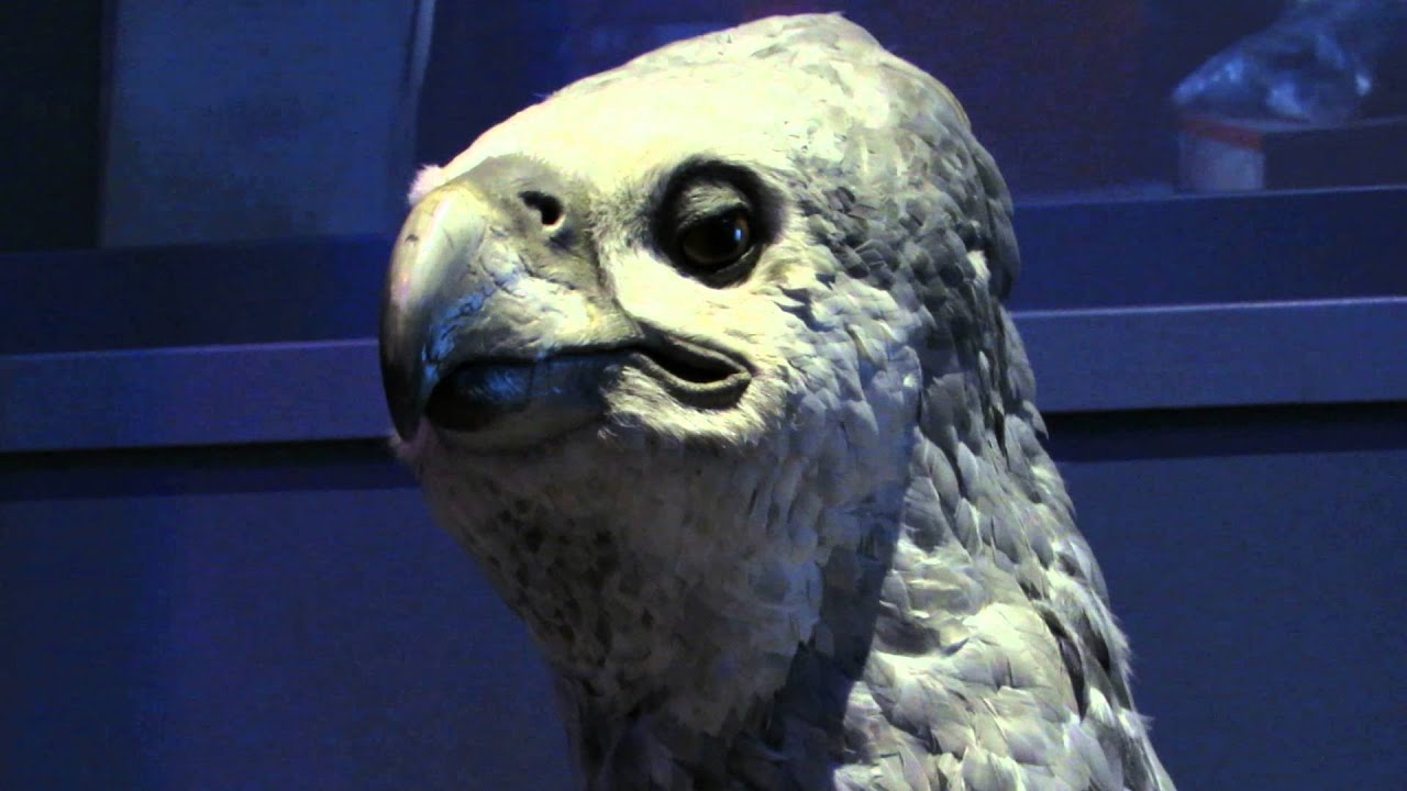 Animatronic Buckbeck from Harry Potter Studio Tour - YouTube