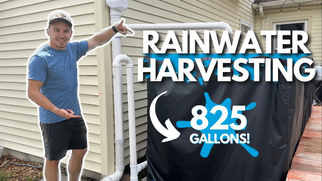DIY Rain Water Collection System - Over 800 Gallons of Rainwater! - YouTube