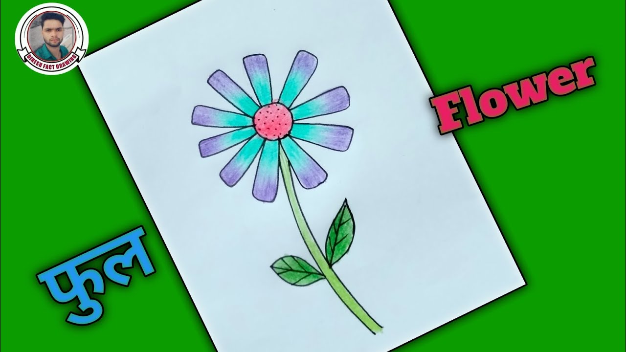 फुल का चित्र कैसे बनाएं?Flower pencil sketch colour step by step easy ...