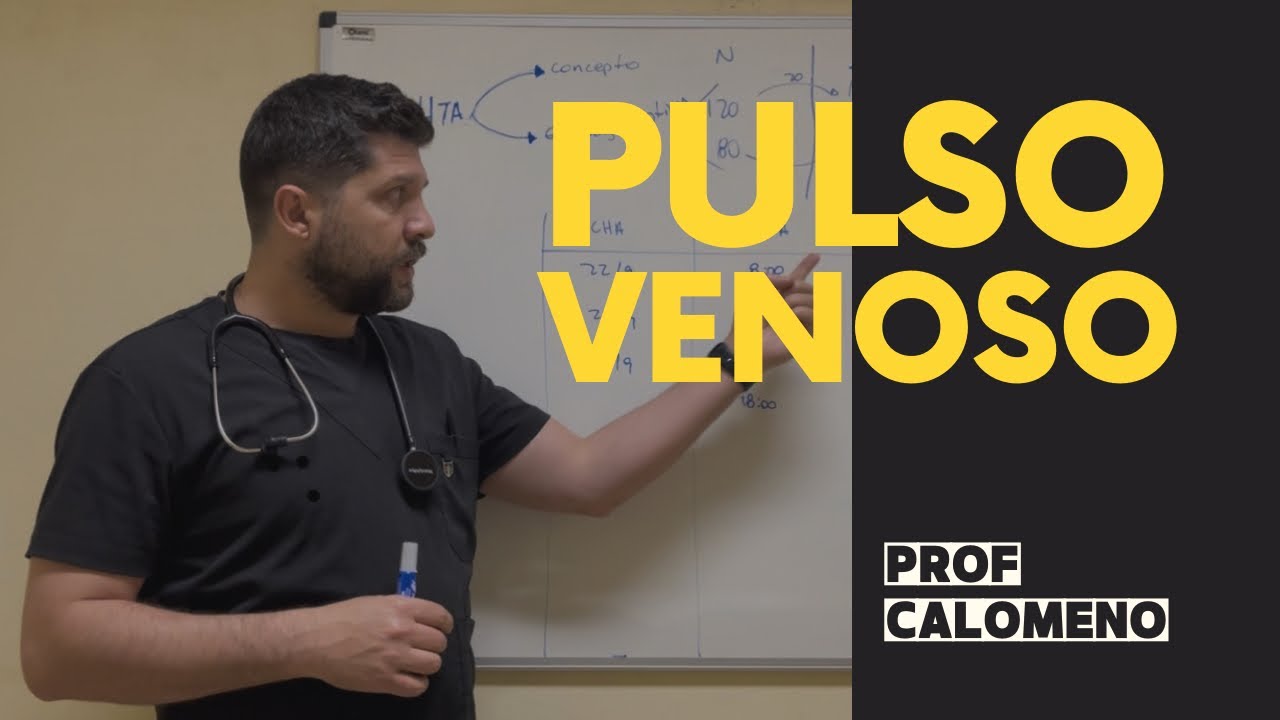 Pulso Venoso - Semiologia Aula 3 - prof calomeno - YouTube
