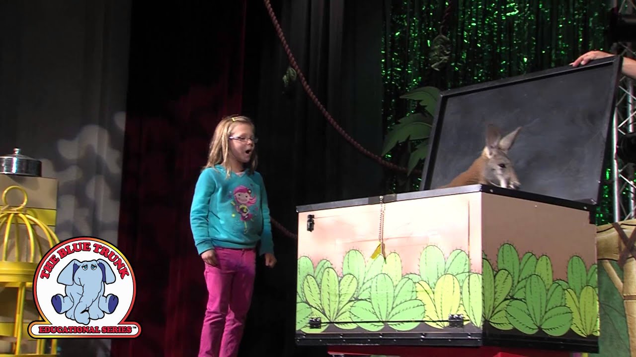 FREE Family Fun Nights - Wild Animal Adventure - Booking and References ...