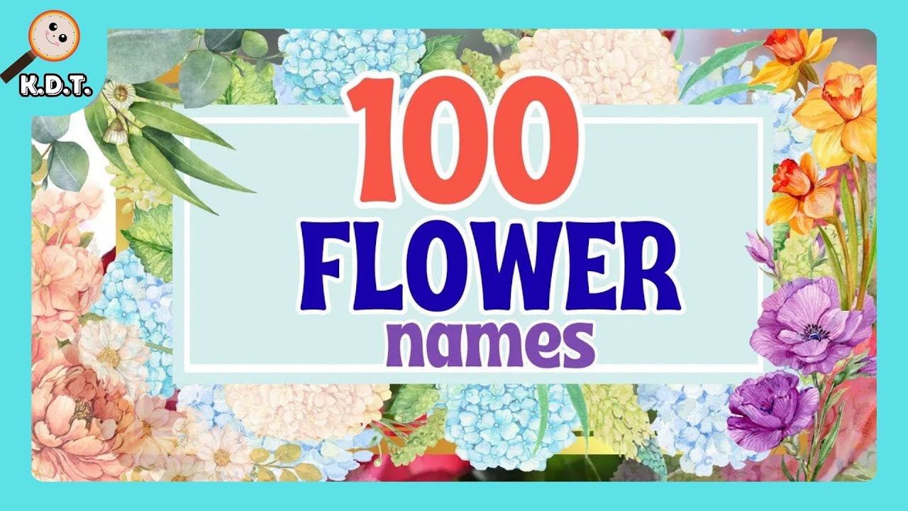 🌻🌹 100 Beautiful & Colorful Flowers | Learn Flower Names in English ...