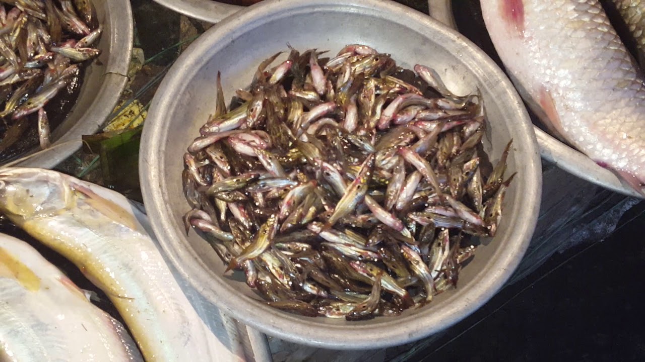 Bangladeshi/ Sylheti, Mas / Fish, Bazar/ Market - YouTube