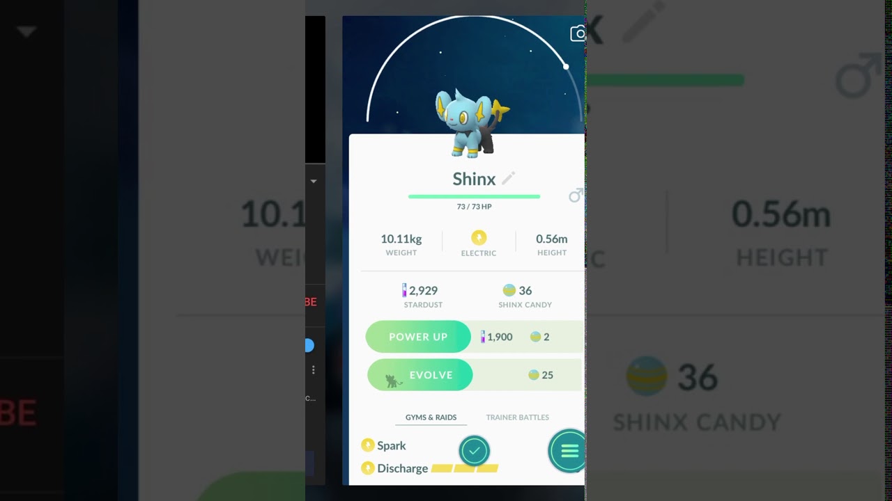 Shinx Evolution Pokémon go - YouTube