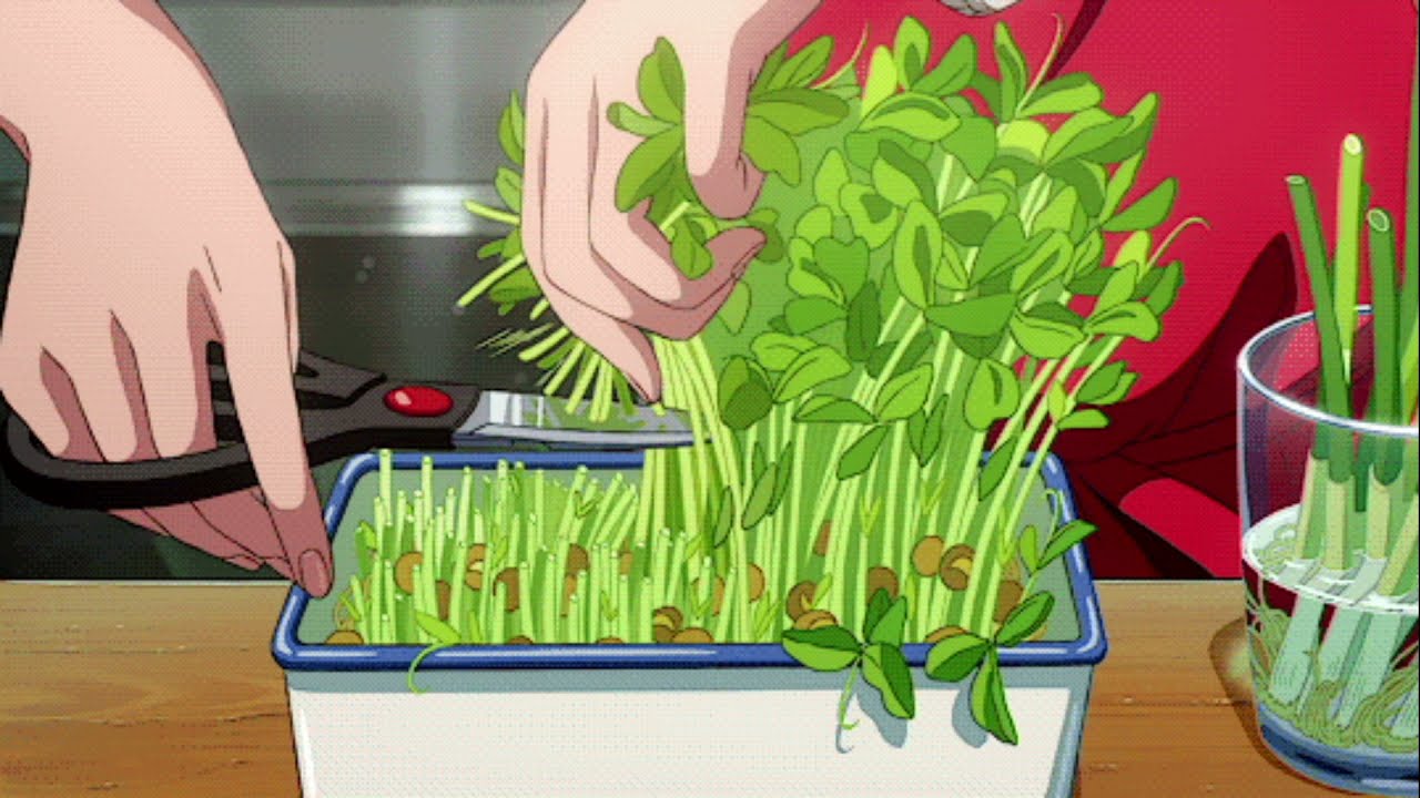 Morning Routine of Anime Girls | Healthy&Productive Routines - YouTube