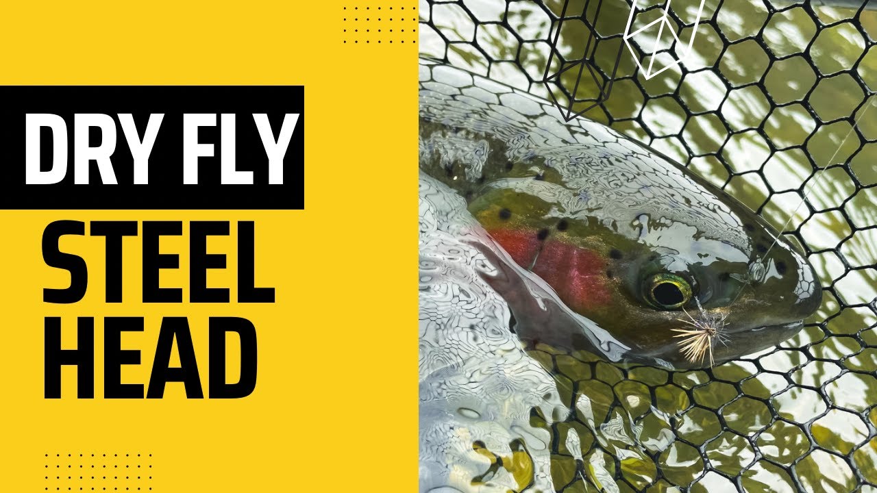 Steelhead on the Dry Fly || Winter Steelheading || Confluence ...