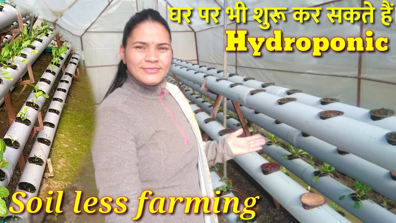 Hydroponic पहली बार देखा बेहतरीन मॉडल।। growing hydroponic veg।।Soil ...