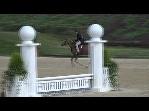 Video of TRAINING WHEELS ridden by KARRINGTON HALL from ShowNet! - YouTube
