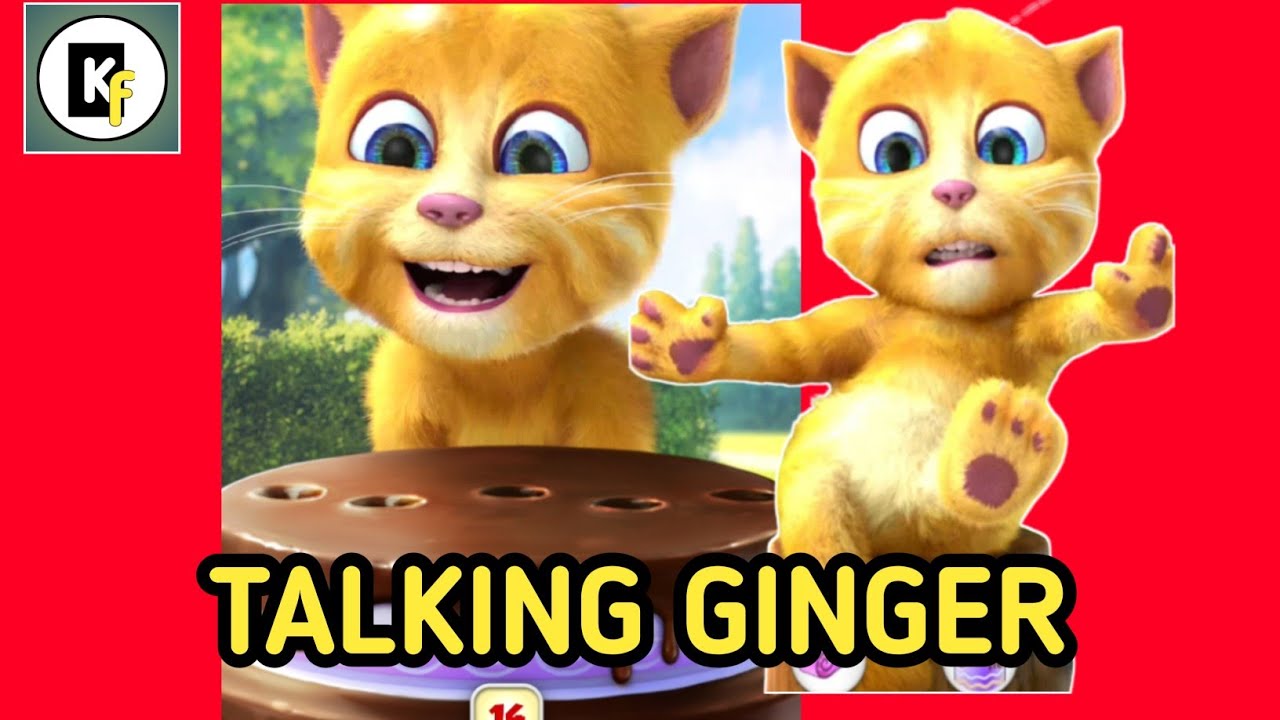 Talking Ginger🐈🐈🐈🐈 - YouTube
