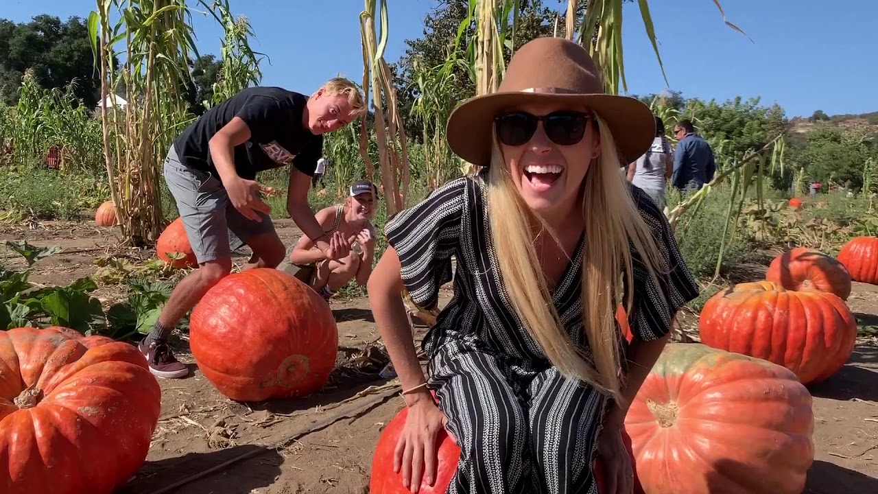 Bates Nut Farm 2019 - YouTube