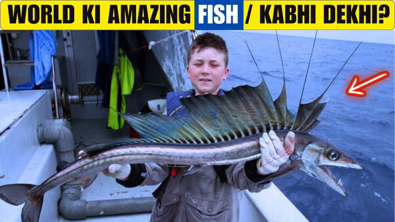 10 Most Unique Fish In The World! - YouTube