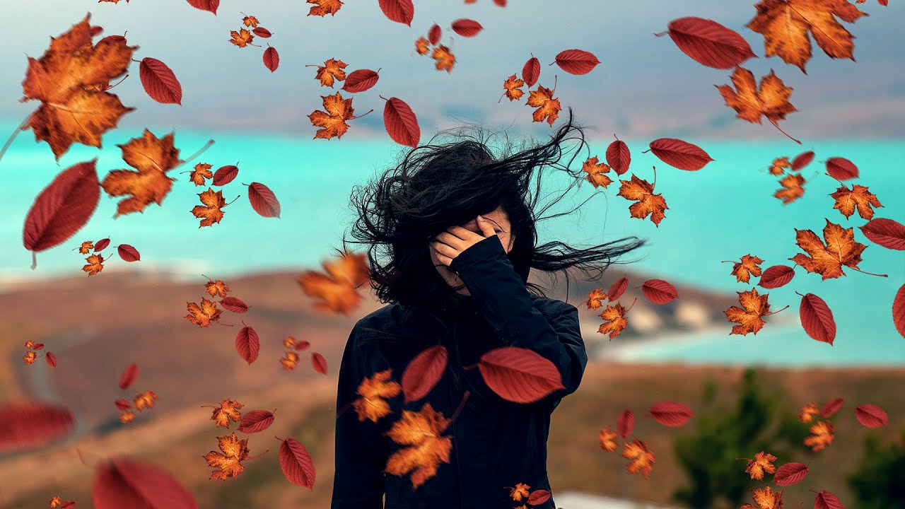 A strong windy day /wind sound/walking footsteps sound/Concentration ...