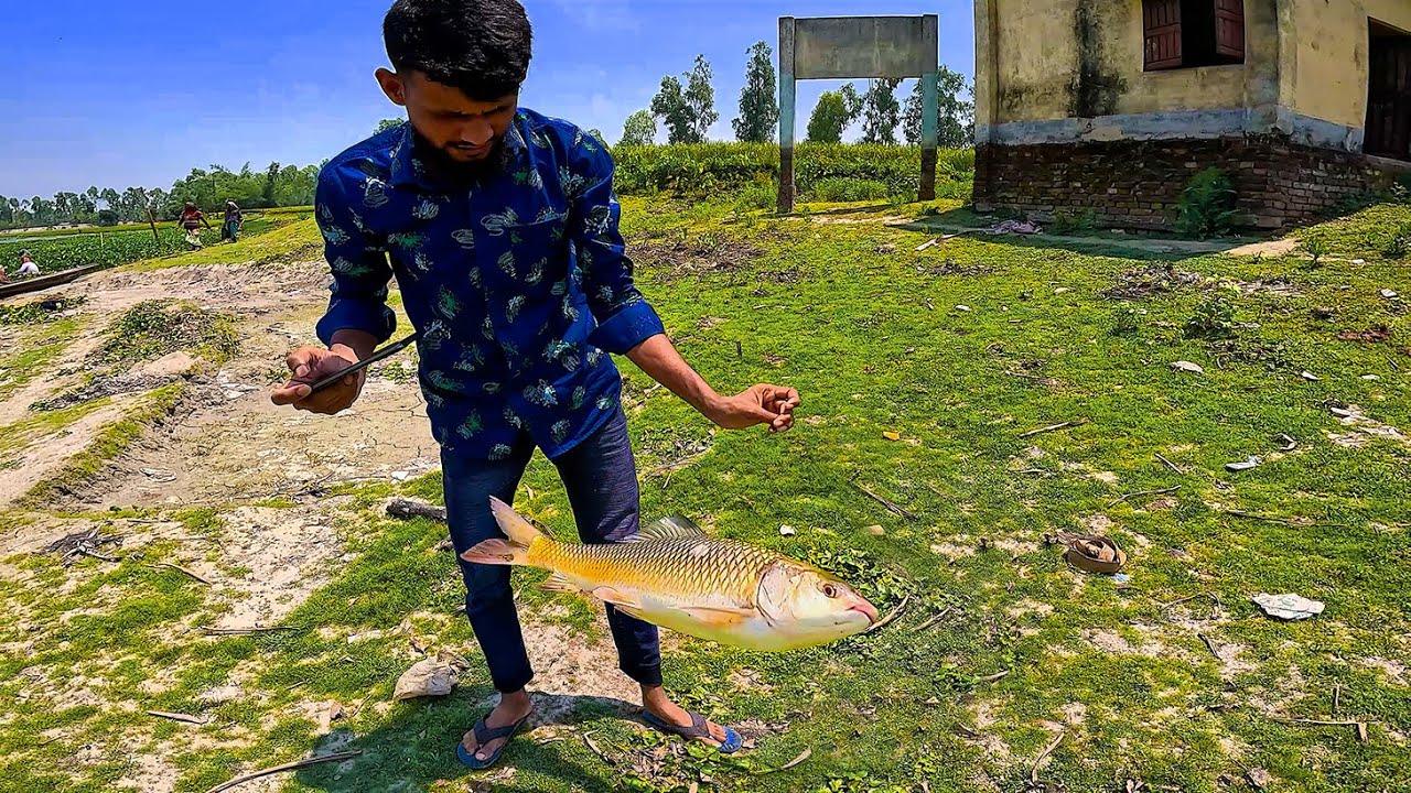 Reversed Video | Big Fish Catch By Hook | বঁড়শি দিয়ে বড় মাছ ধরা ...