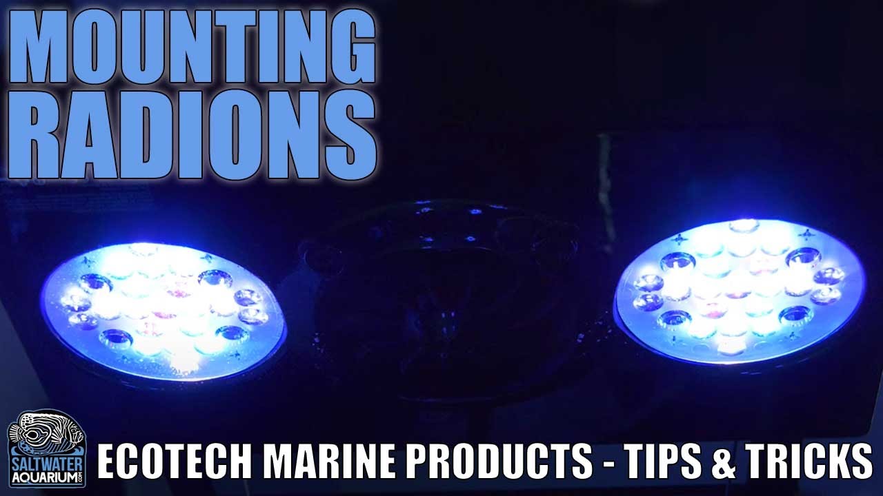 MOUNT Your Radions - Ecotech Marine Products - Tips & Tricks - YouTube